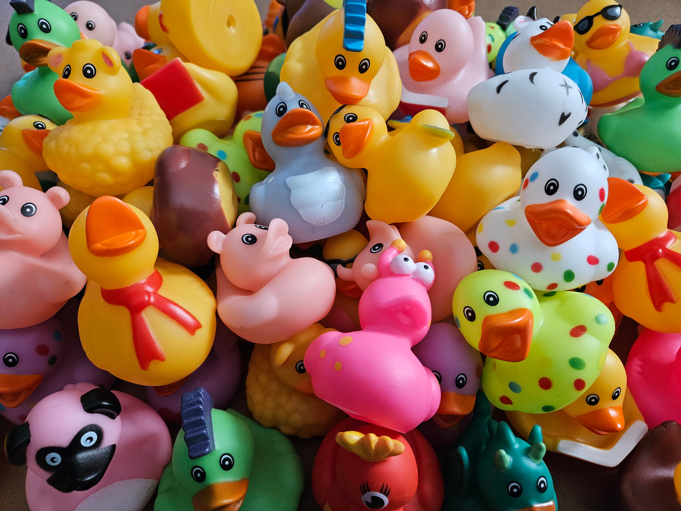 2" inch Rubber Ducks – Red Claw Vending